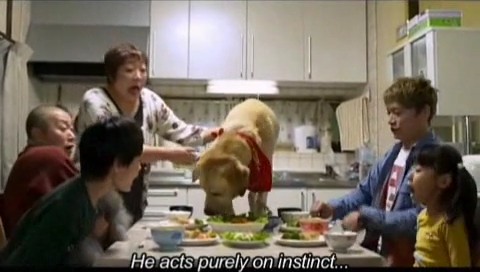 File:Love Masao-Kun-ga Iku-engsubteaser.jpg - AsianWiki